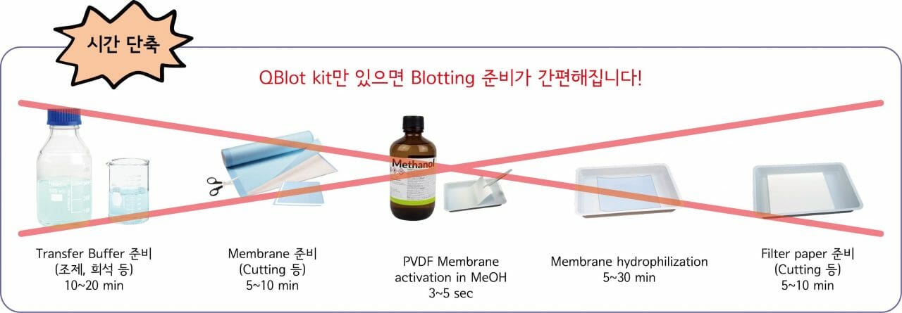 How to choose the reagents for semi-dry blotting – ATTO KOREA