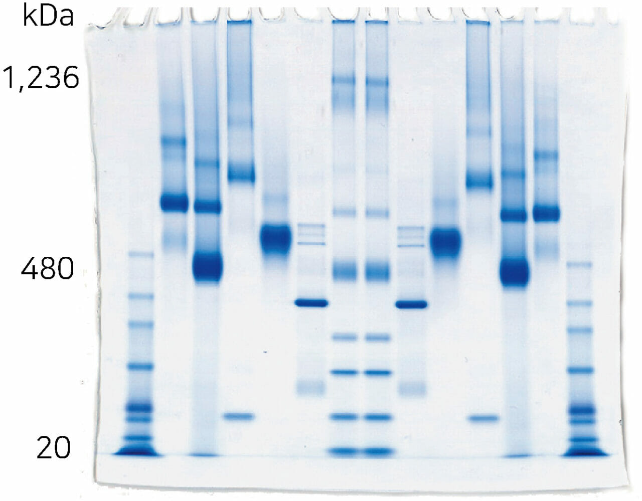 u-PAGEL H - (주)아토코리아