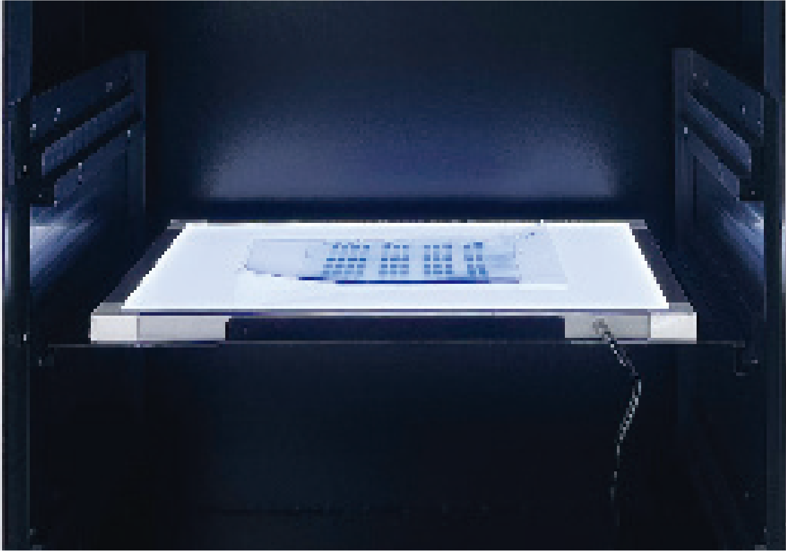 WSE-6170 LuminoGraph I CMOS - (주)아토코리아
